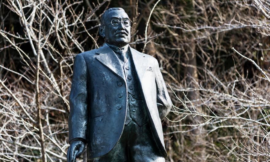 我们的小松起源故事 - 博金宝